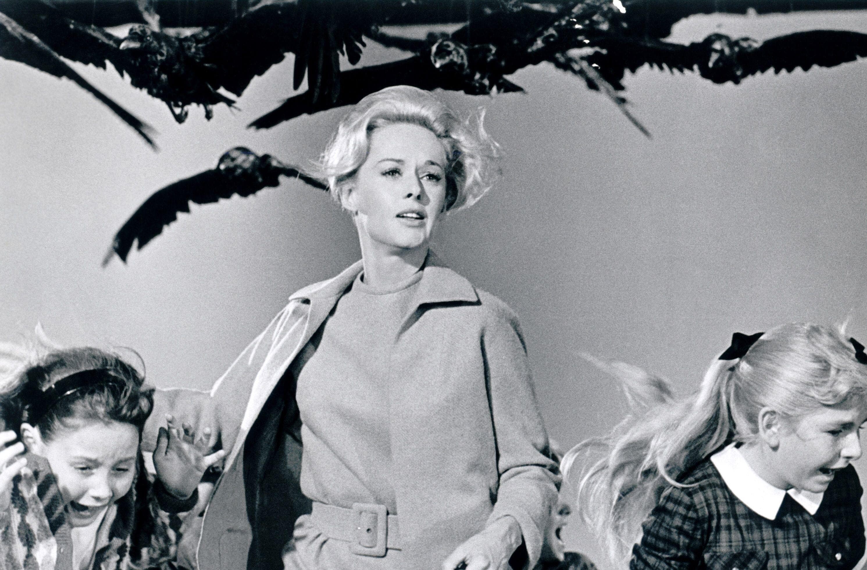 16 Super Weird Subreddits That Actually Exist