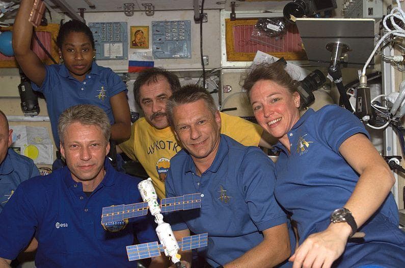 11 Things You Didn't Know About Psychopath Lisa Nowak