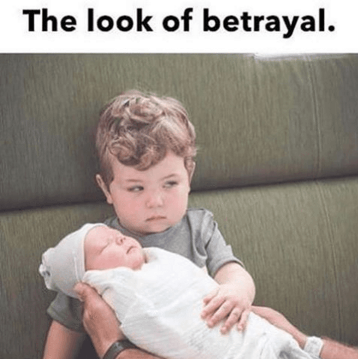 Memes About Parenting