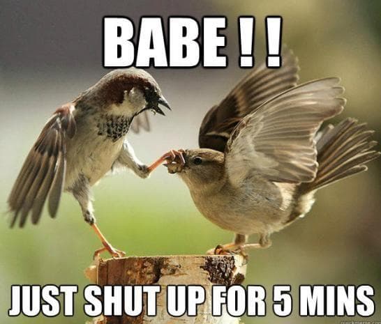22 Hilarious Memes About Long-Term Relationships