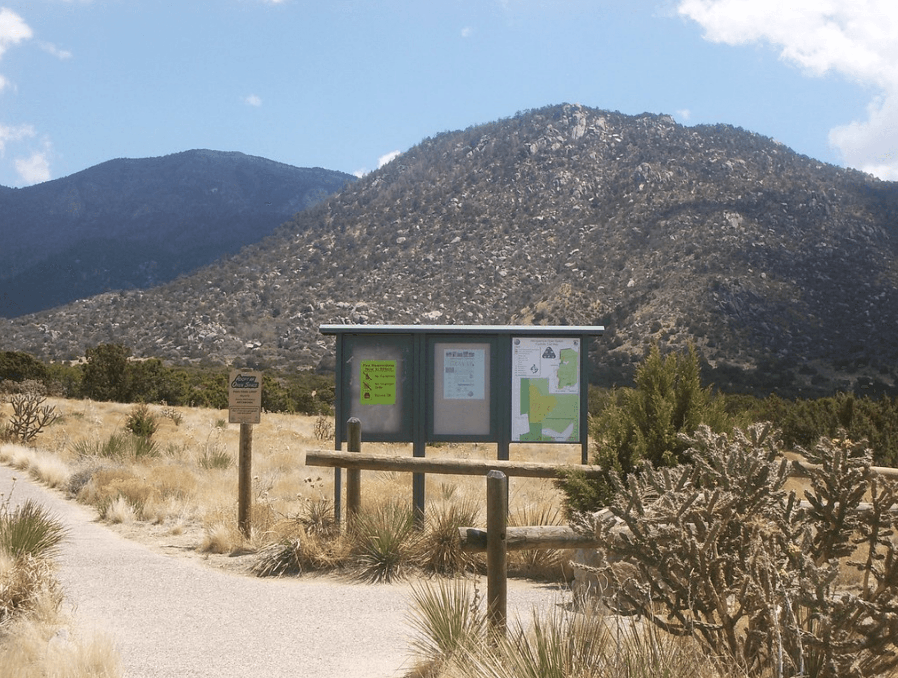 12 Real Crimes Involving Modern-Day Witches and Witchcraft