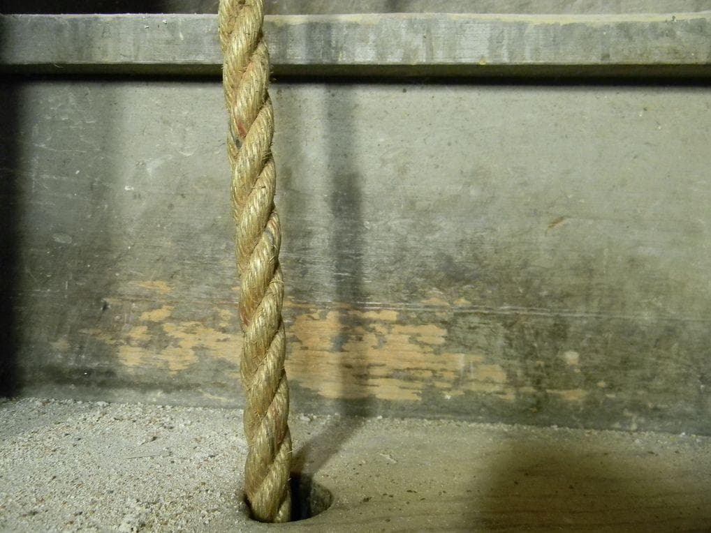 10 Gross Things People Used to Wipe Before Toilet Paper