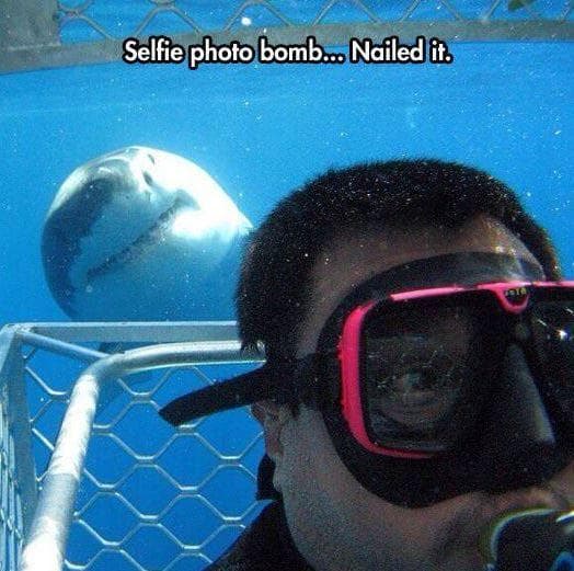 The 27 Funniest Selfie Photobombs Ever Caught on Film