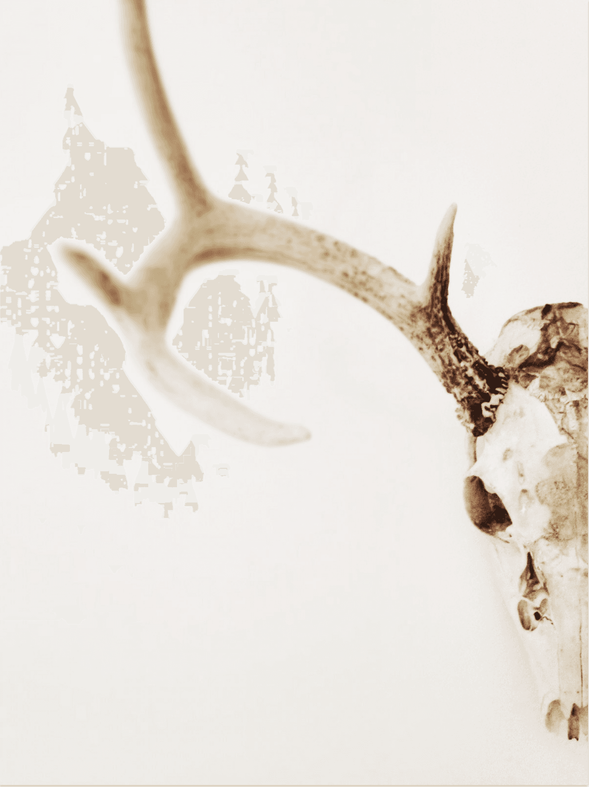 12 Terrifying Facts About The Wendigo And Its Dark History