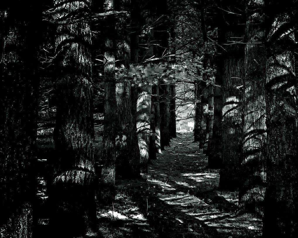 12 Terrifying Facts About The Wendigo And Its Dark History