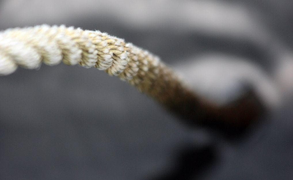 11 Disturbing Details About German Serial Killer Volker Eckert