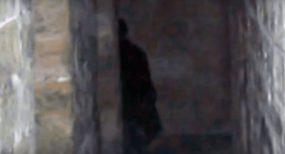 16 Pictures That Probably Contain Shadow People