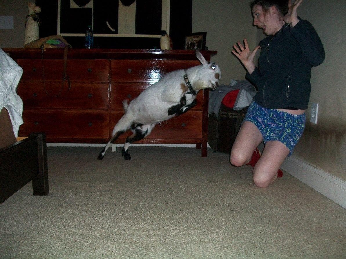 25 Photos Taken a Second Before Disaster Struck