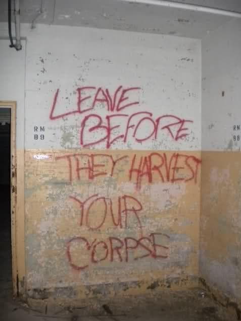 The Creepiest Graffiti Found in Abandon Houses and Buildings