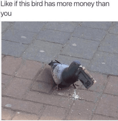 27 Funny Memes About Being Bad With Money