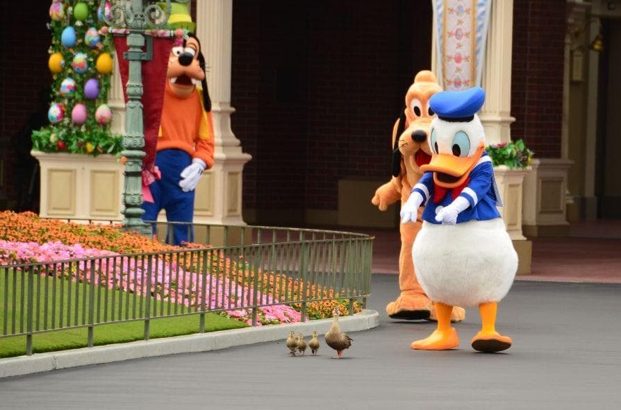 The 25 Funniest Photos Ever Taken at Disneyland