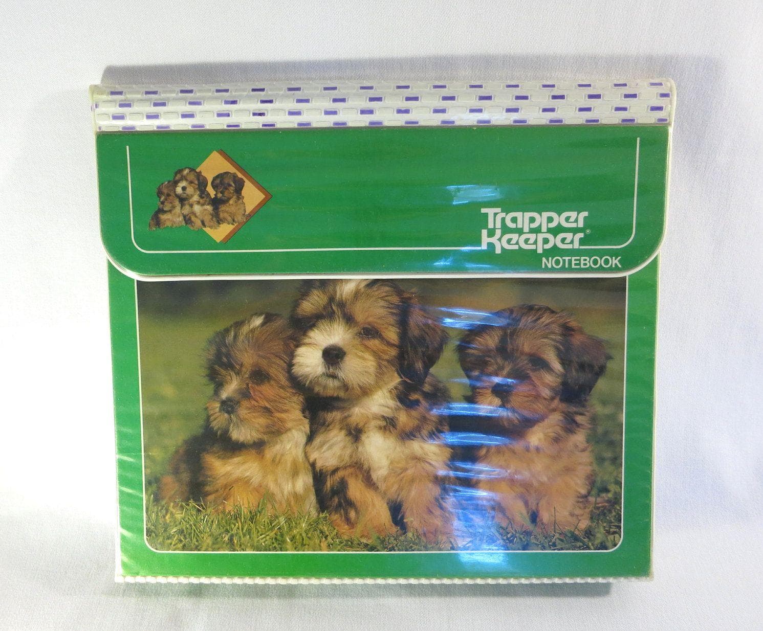The Fascinating History of Trapper Keepers