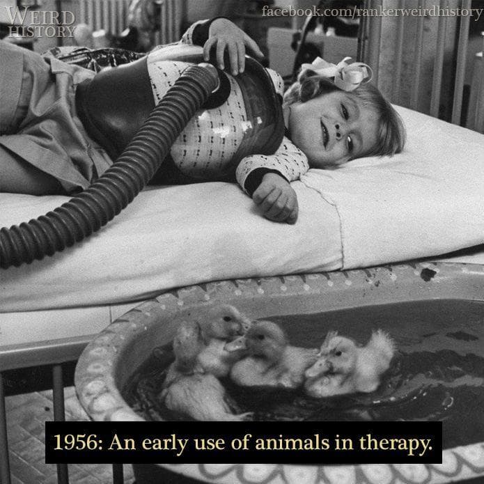 27 Photos Capturing Bizarre Moments In Science Throughout History