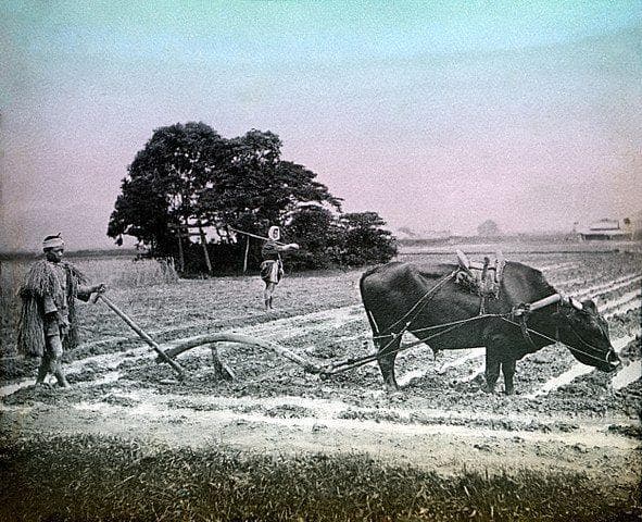 The Interesting History Behind Ninjas You Won't Learn From Movies