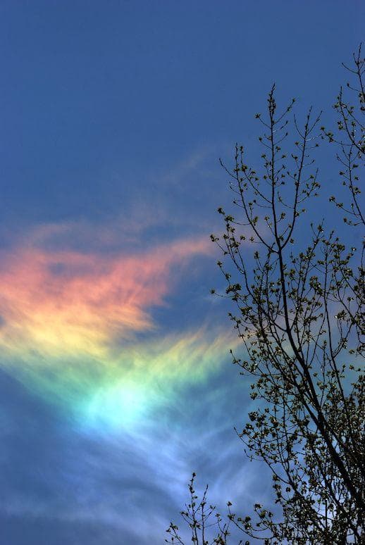 The Very Specific Conditions It Takes For You To See A Fire Rainbow