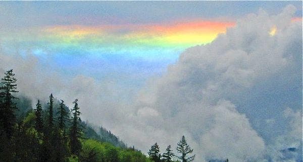 The Very Specific Conditions It Takes For You To See A Fire Rainbow