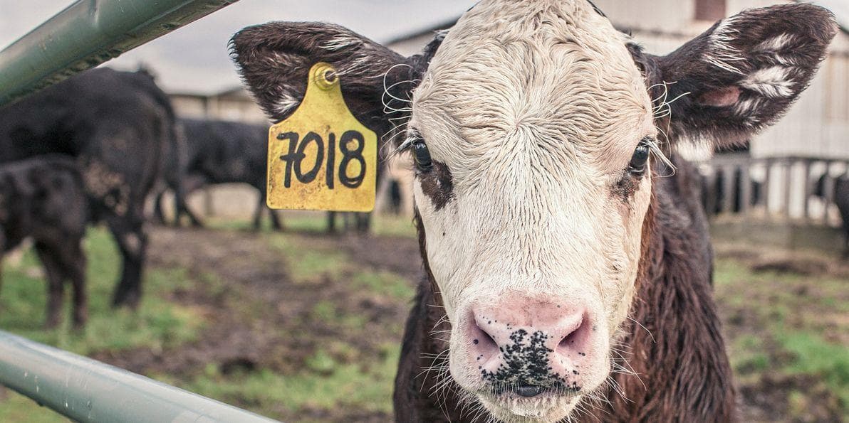 14 Fascinating Stories Of Cops Who Went Undercover For Years