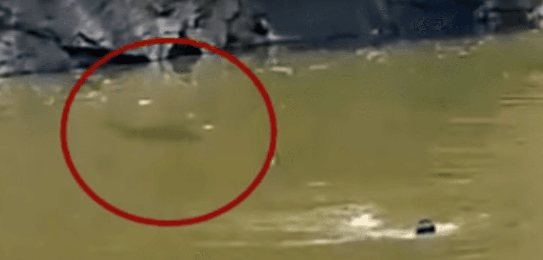 10 Real Photos That Just Might Contain Nautical Ghosts