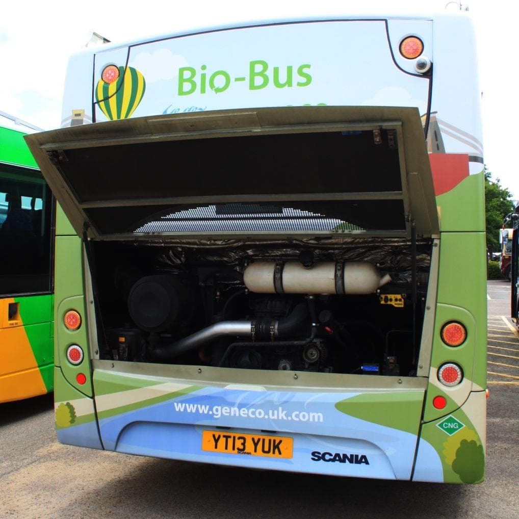 12 Animals and Insects That Use Poop In Fascinating Ways