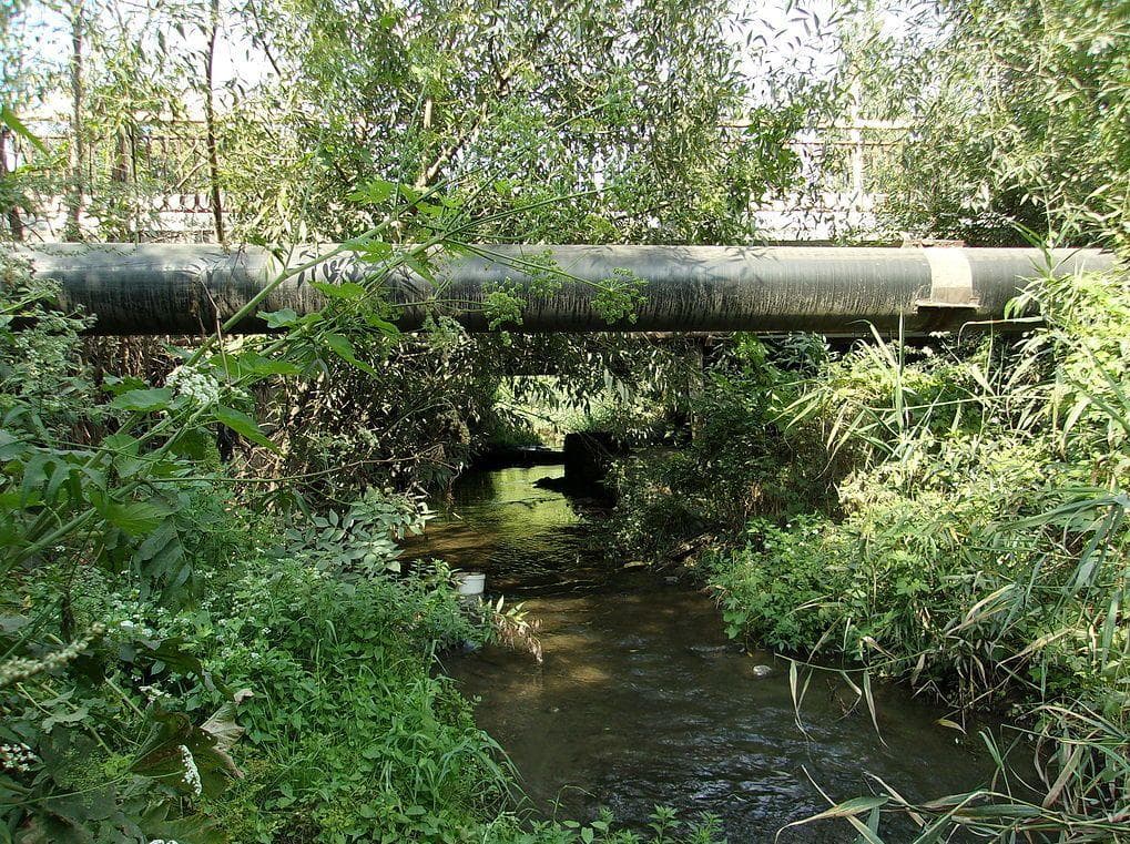 15 Gruesome Facts About Andrei Chikatilo, The Rostov Ripper