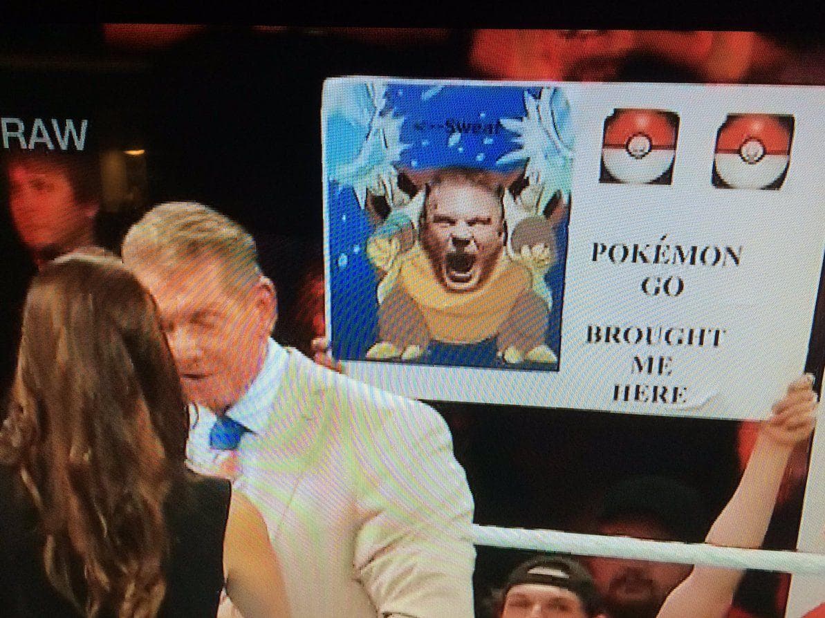 The 28 Funniest WWE Fan Signs Ever