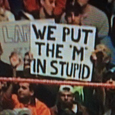 The 28 Funniest WWE Fan Signs Ever