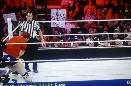 The 28 Funniest WWE Fan Signs Ever