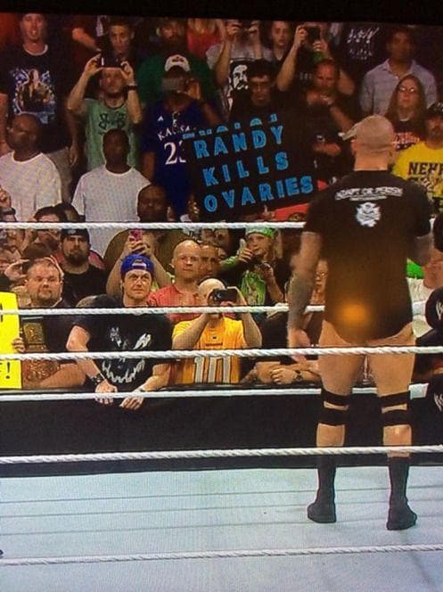 The 28 Funniest WWE Fan Signs Ever