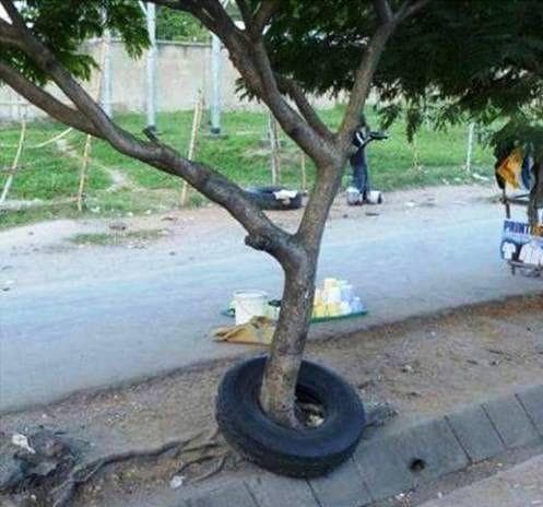 17 Photos That Defy the Laws of Physics