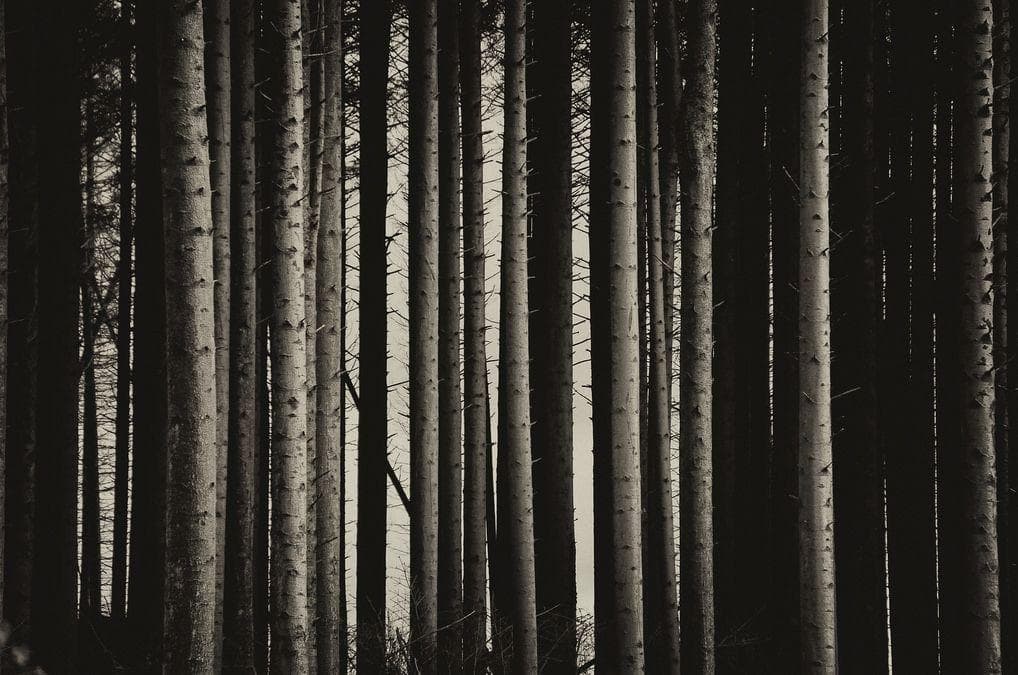 Facts About Nyctophobia, An Unnatural Fear Of Night And Darkness