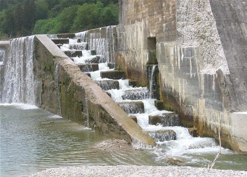15 Facts About Animal Bridges You Probably Never Knew