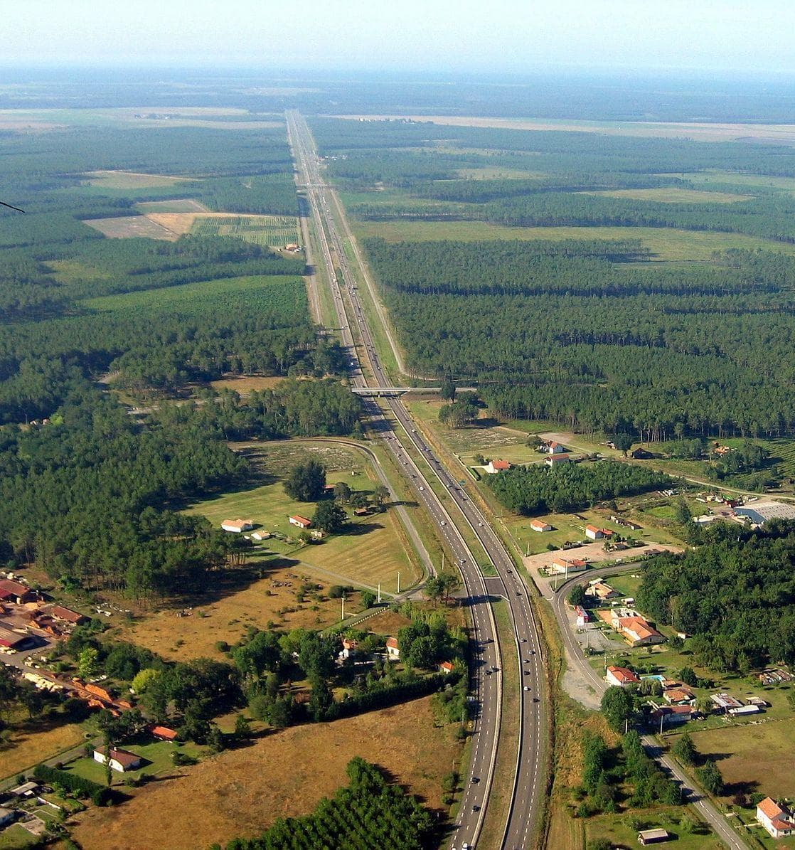 15 Facts About Animal Bridges You Probably Never Knew