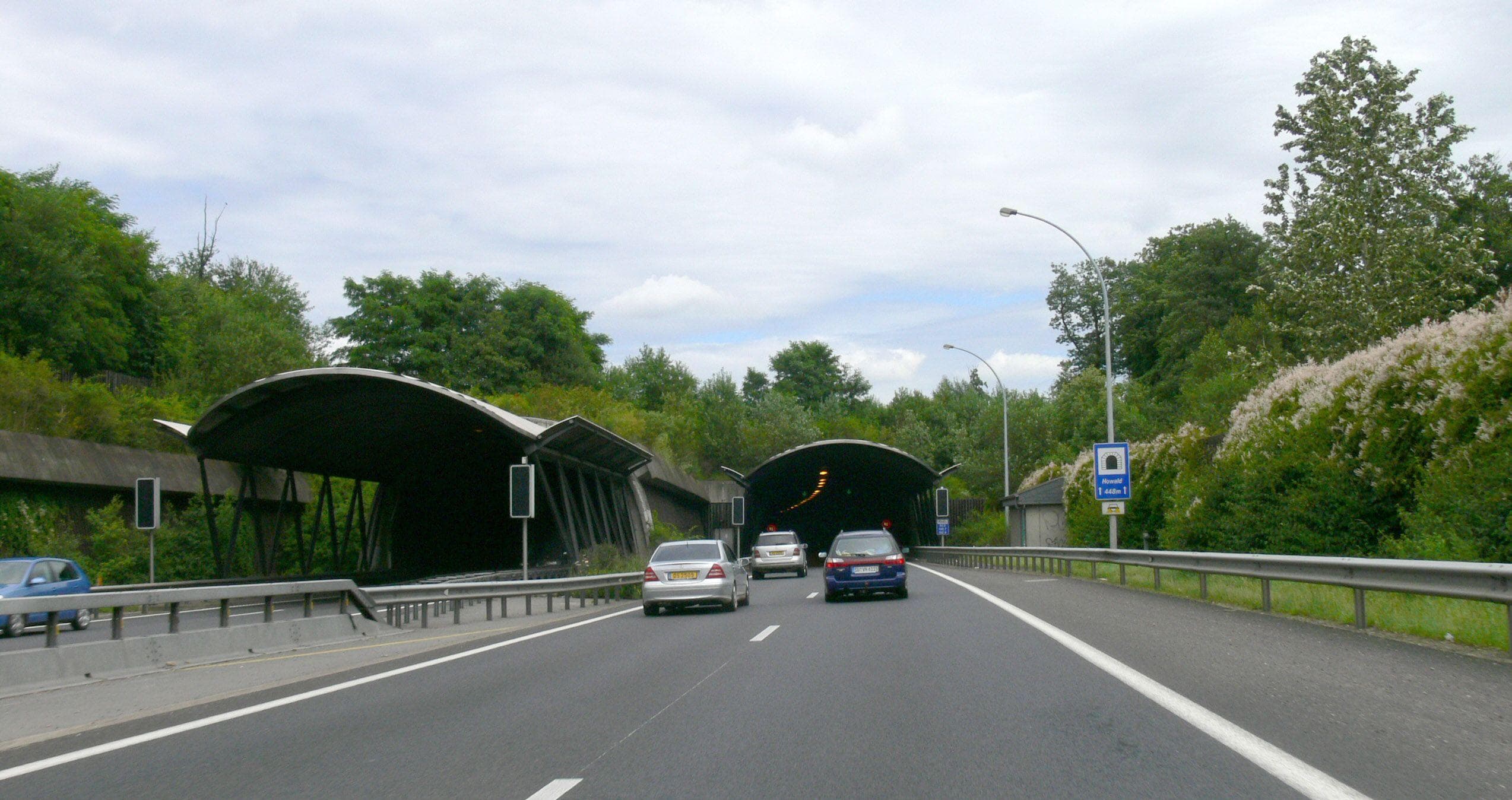 15 Facts About Animal Bridges You Probably Never Knew