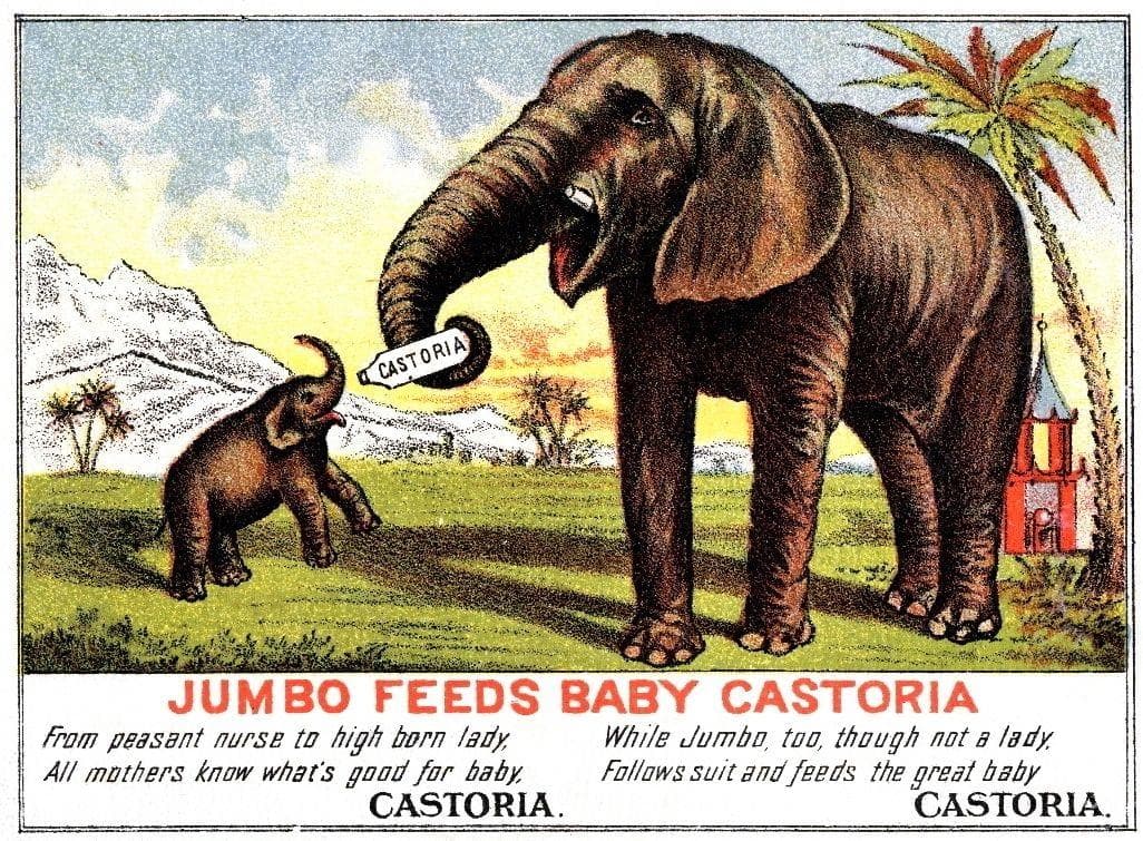 The Bittersweet Story Of Jumbo, The Most Famous Elephant On Earth