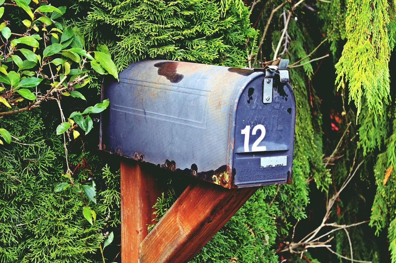 9 Fascinating Facts About the Real Life Smokey The Bear