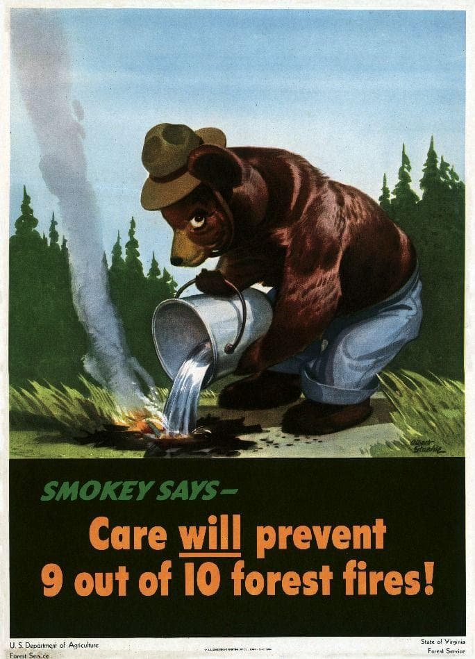 9 Fascinating Facts About the Real Life Smokey The Bear