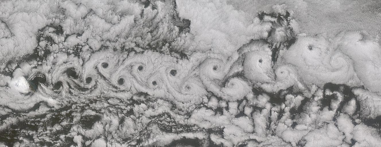 Beautiful Fractals In Nature