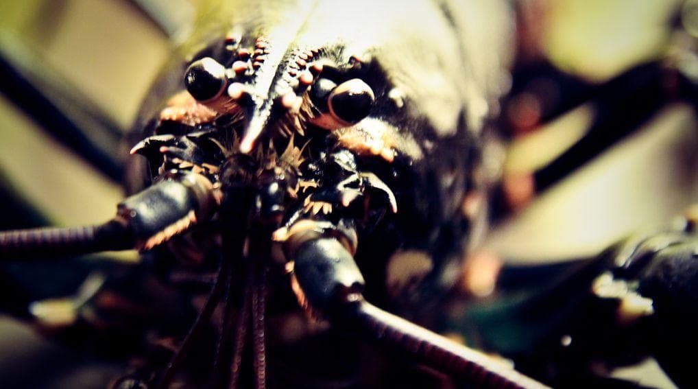 15 Fascinating Facts Most People Don't Know About Tim Burton