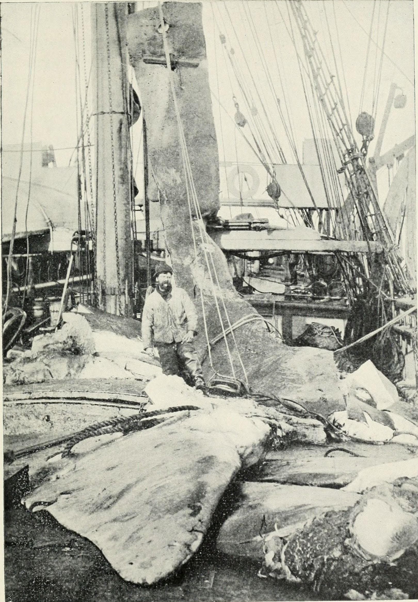 12 Fascinating Facts About The Arctic Ship Fram