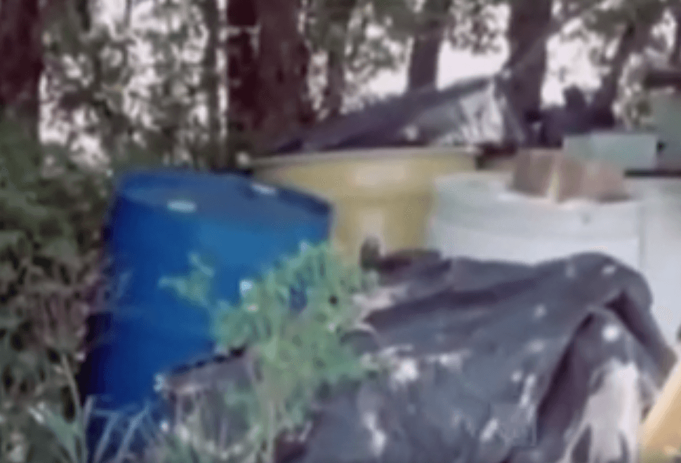 Disturbing Facts About The First Internet Serial Killer, John Edward ...