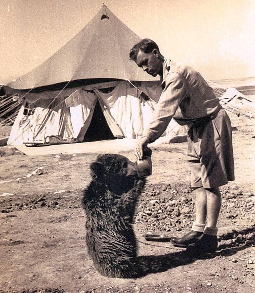 The True Story Of Wojtek, The Bear That Served In The Polish Military