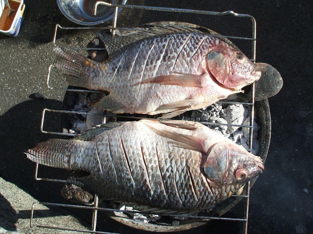 Horrifying Restaurant Foods You Can Actually Order In The USA