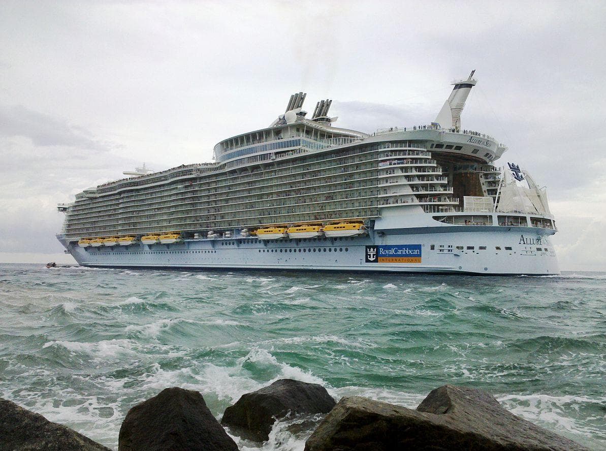 20 People Who Fell Off The Sides of Cruise Ships