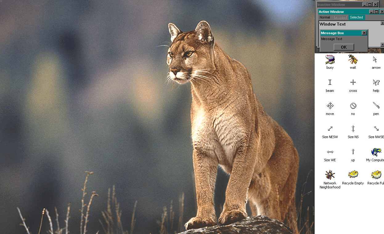 Ranking Every Windows 98 Desktop Theme Best to Worst