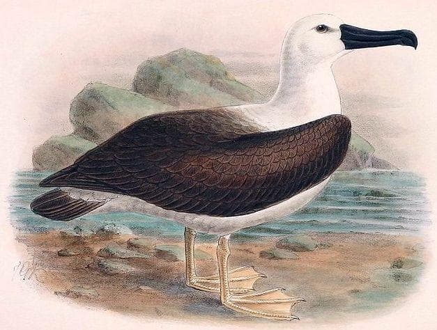 15 Weird Superstitions Sailors Have Believed Through the Ages