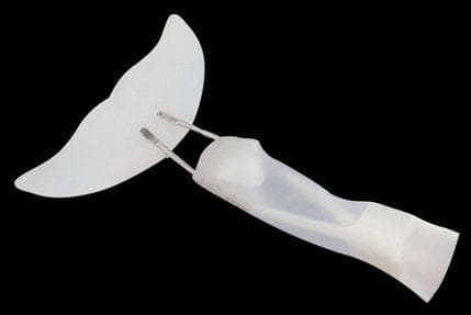 Winter The Dolphin With Prosthetic Tail