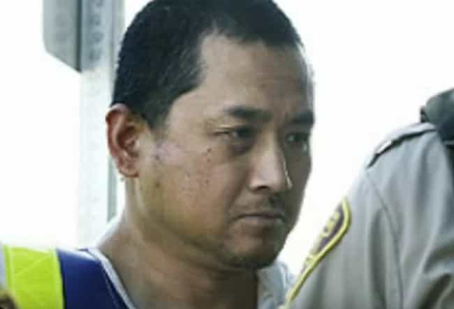 Tim mclean dead - polfpad