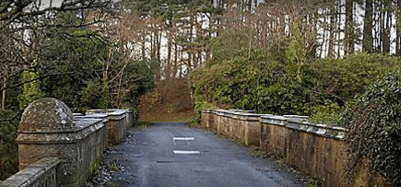 Why Are Dogs Hurling Themselves Off The Mysterious Overtoun Bridge?