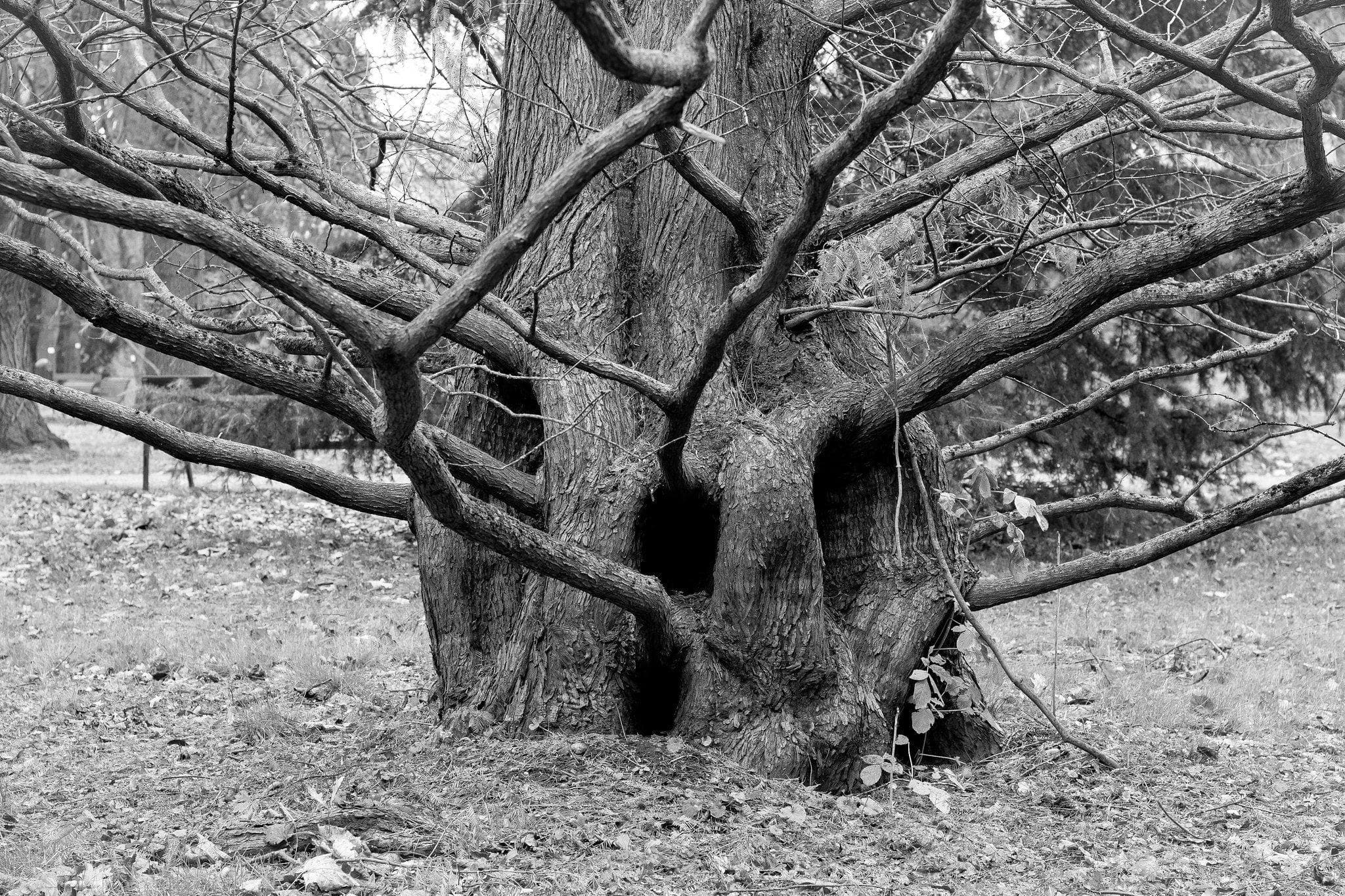 21 Bad Omens Telling You You're Probably About To Die