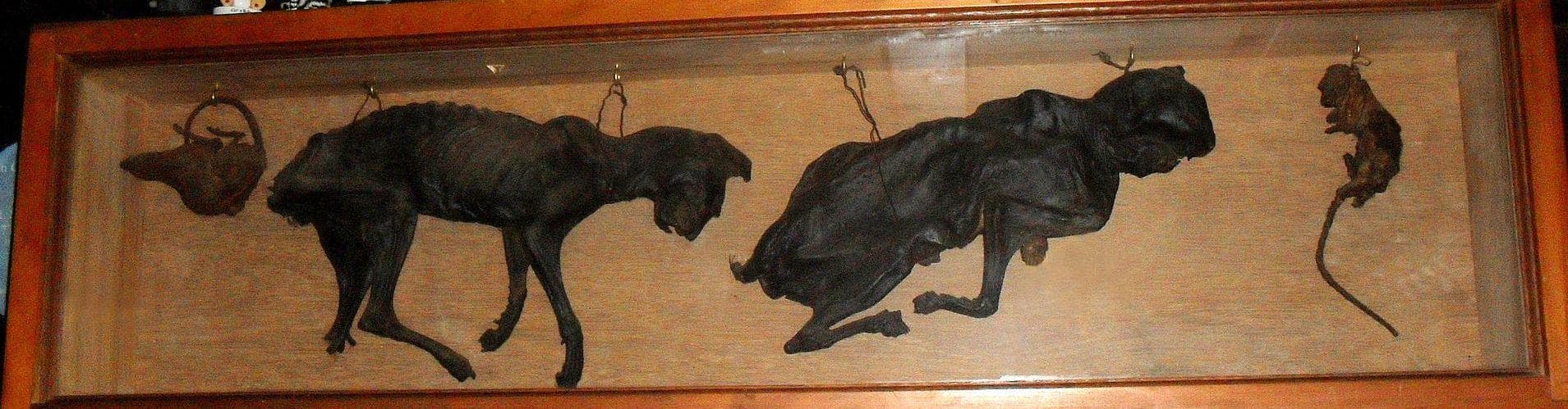 12 Bizarre Things People Have Used To Ward Against Evil